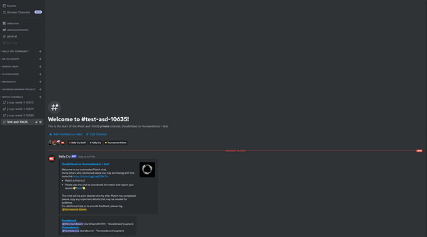 Rally Cry Discord Integration | Rally Cry Collegiate
